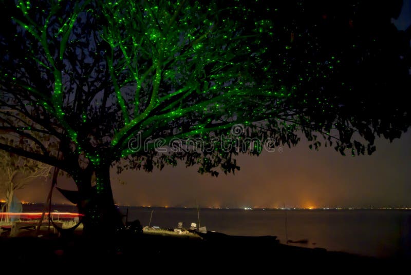 Night tree near the water editorial photography. Image of dark - 89431867