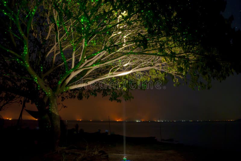 Night tree near the water editorial photography. Image of country ...