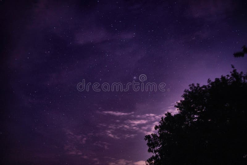 Night Tree Silhouette and Dreamlike Starry Purple Sky with Clouds Stock ...