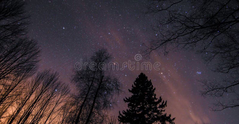 Night Sky with Stars and Trees Nature Background Stock Image - Image of ...