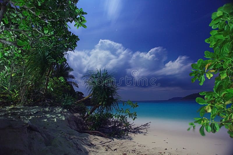 Night on a tropical island stock image. Image of dusk - 58560603