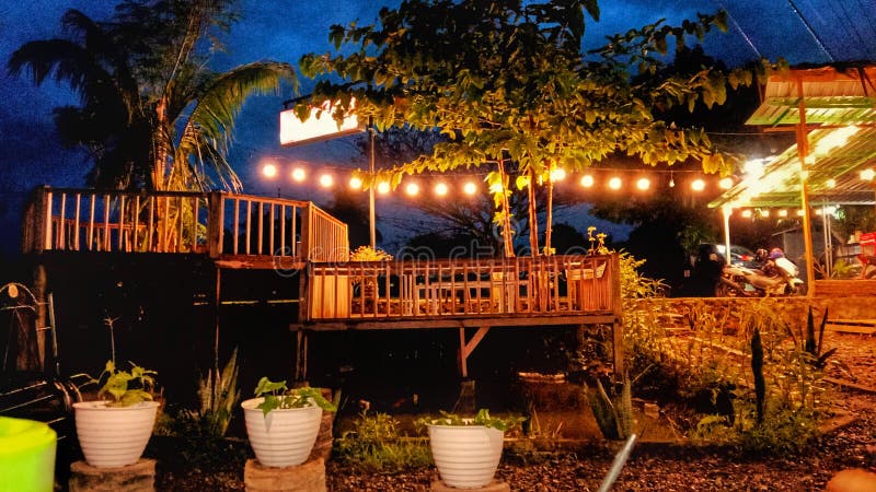 At Night Under a Tree in the Light Stock Image - Image of light, plant ...