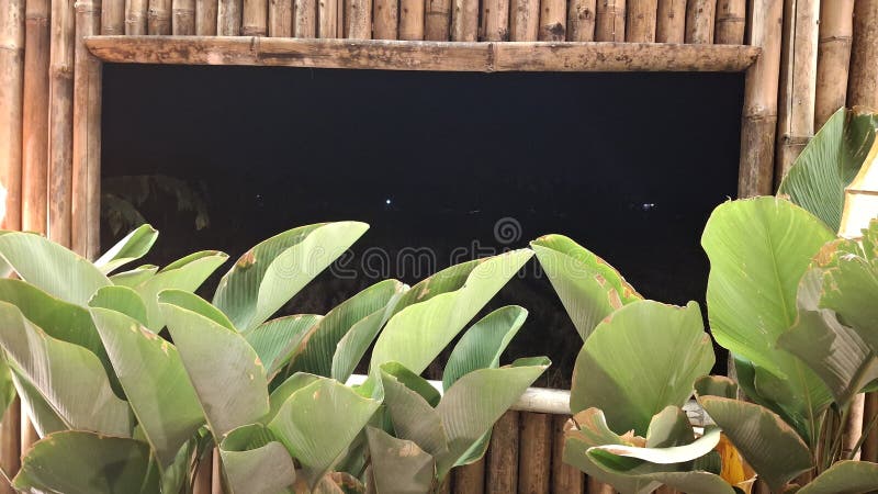 Night View from Bamboo Fence Frame in the Garden Stock Photo - Image of ...
