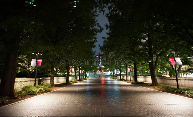 Night view of the street stock photo. Image of light - 259493814