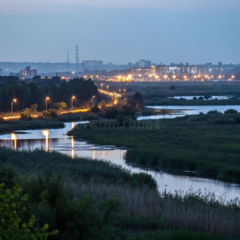 Night View of Delta Vacaresti from Bucharest Stock Illustration ...