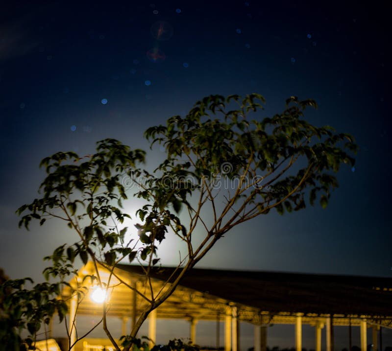 Night view at the farm stock image. Image of lighting - 214997375