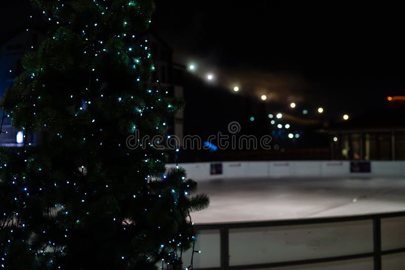 Night View of Ice Rink and Christmas Tree Stock Photo - Image of ...