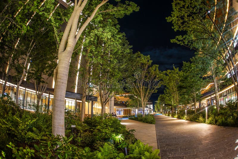 Night View Image of Tachikawa City, Tokyo Stock Photo - Image of ...