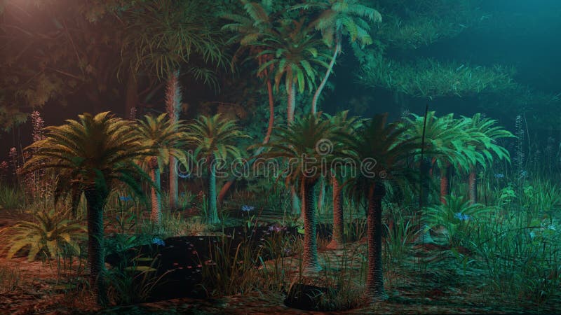 Night View Inside the Wild Coconut Forest - Nature Landscape Stock ...