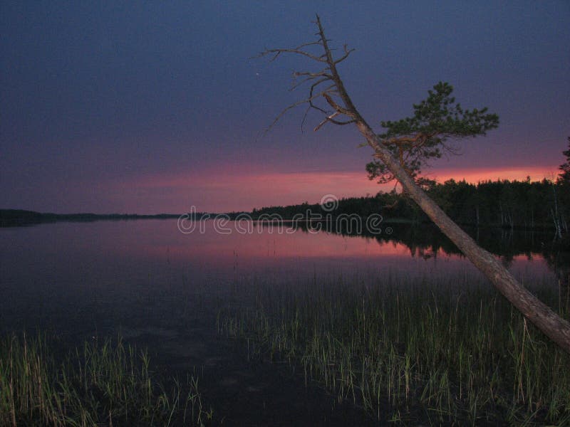 Night view of the lake stock image. Image of evening - 180909965