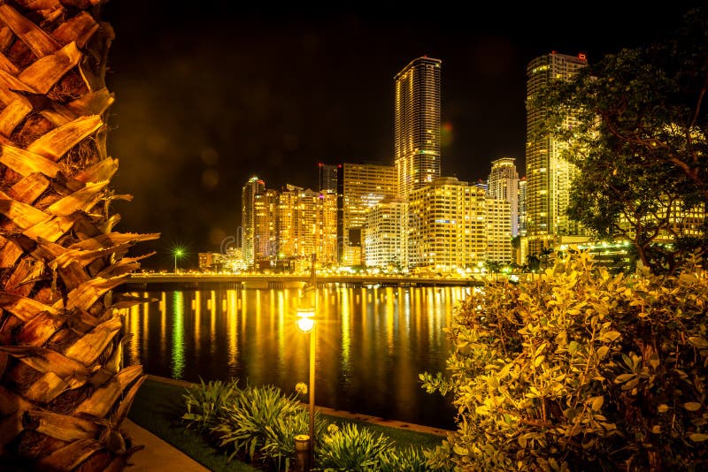 The Night View of Miami Downtown Buildings Stock Photo - Image of ...