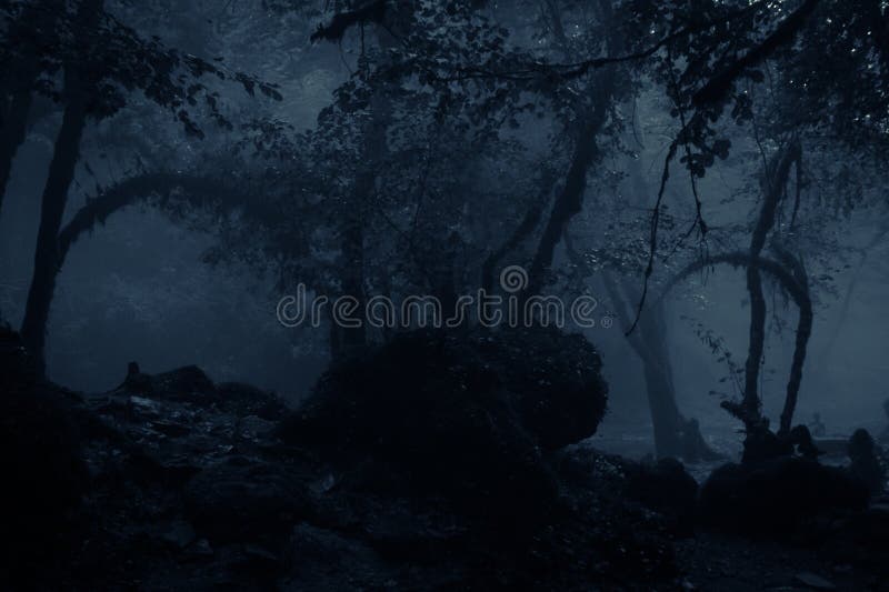 Night View of Misty Forest Infested by Ghost Stock Image - Image of ...
