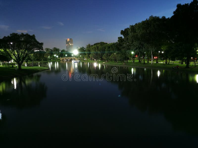Night view in the park. stock image. Image of night - 100205783