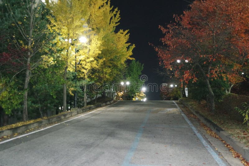 Pedestrian path in night stock image. Image of route - 98006827