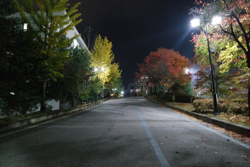 Pedestrian path in night stock image. Image of route - 98006827