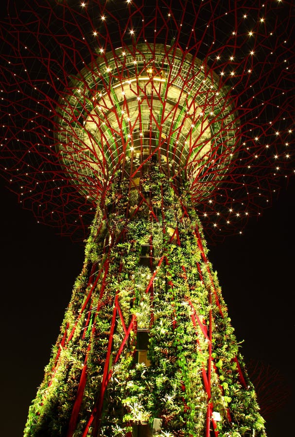 Night Scene of Supertree in Garden by the Bay Stock Image - Image of ...