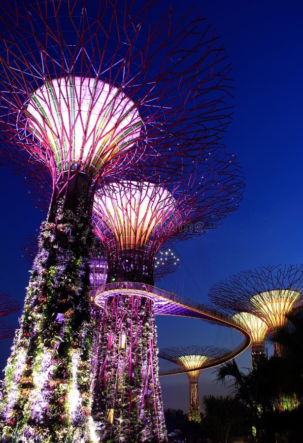 Super Trees at Night in Garden by the Bay Stock Photo - Image of ...