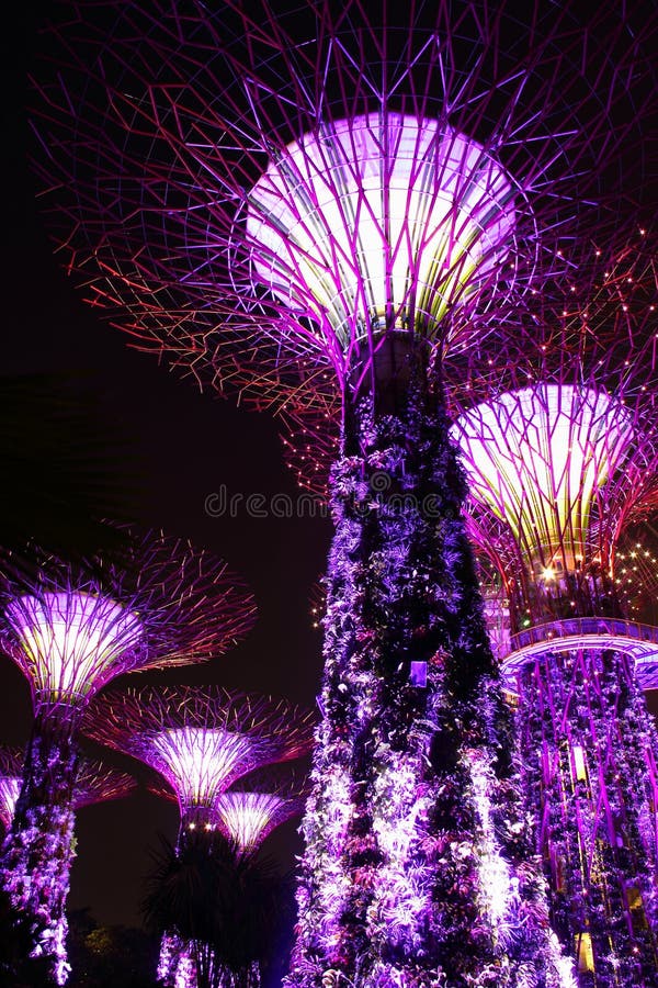 Night View of Super Trees in Garden by the Bay Stock Photo - Image of ...