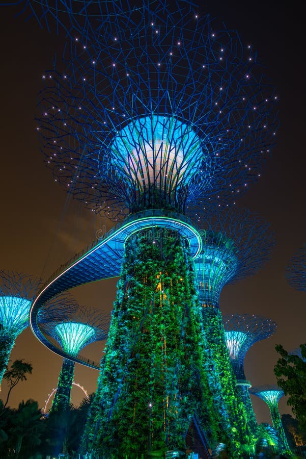 Night View of the Supertree Grove Stock Photo - Image of supertree ...