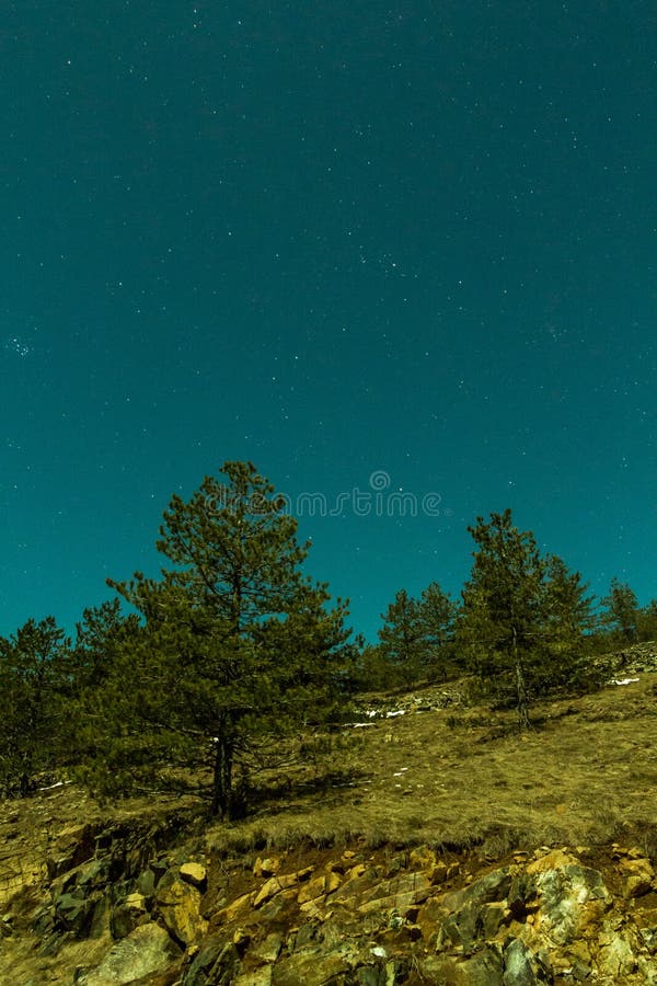 Night View of Trees in Zlatibor Mountain Stock Image - Image of space ...