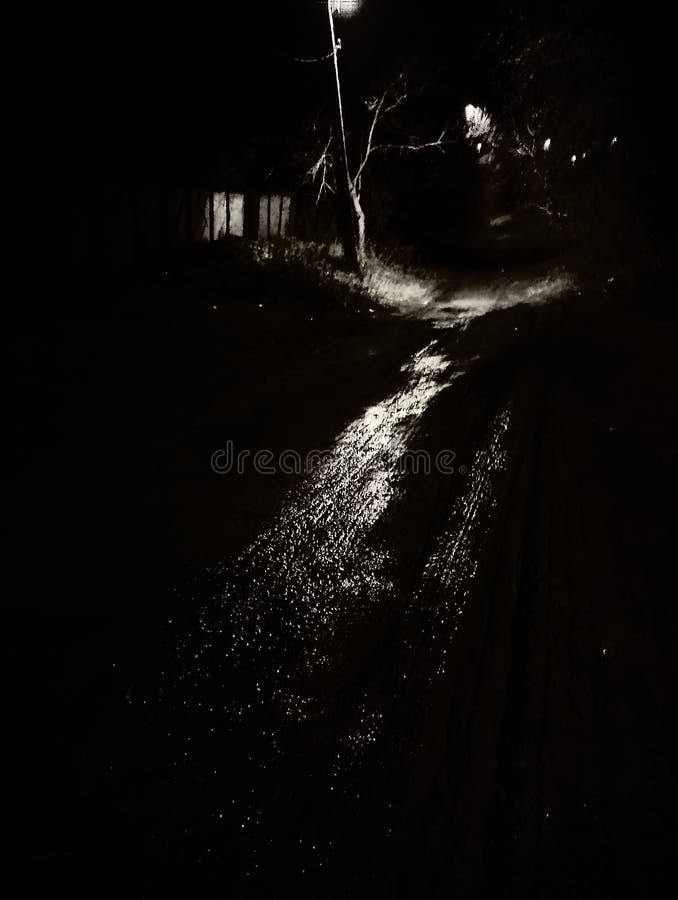 Night vision water tree stock photo. Image of water - 246808982