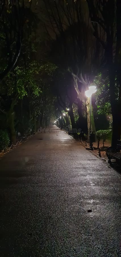 Night walk stock image. Image of walk, garden, night - 165513875