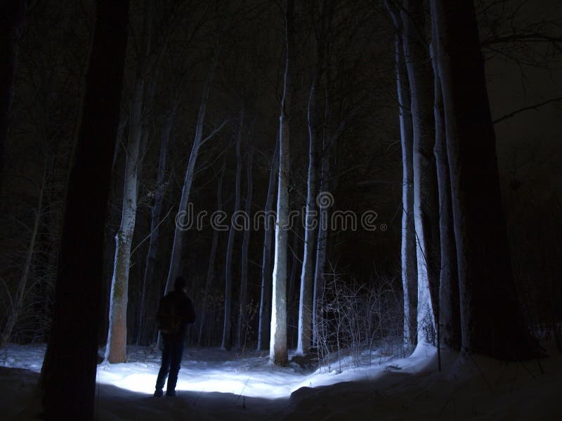 Night Walk Outside the City with a Flashlight. Stock Image - Image of ...