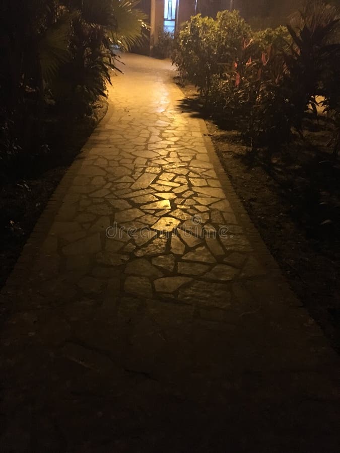 Night walk stock image. Image of night, walk, stone - 136908133