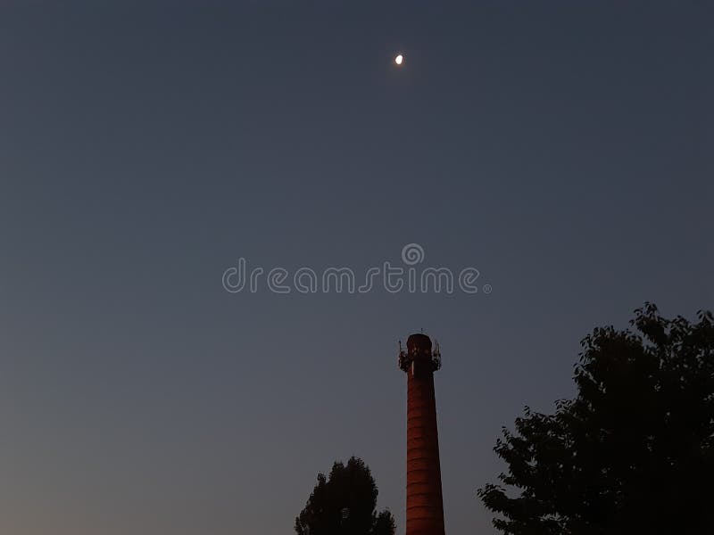 Night Walks in Mountain Forest Under Moon Light Stock Photo - Image of ...