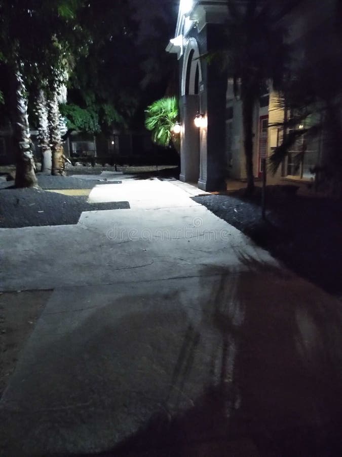 Night Watching stock photo. Image of watch, flight, patrol - 165166530