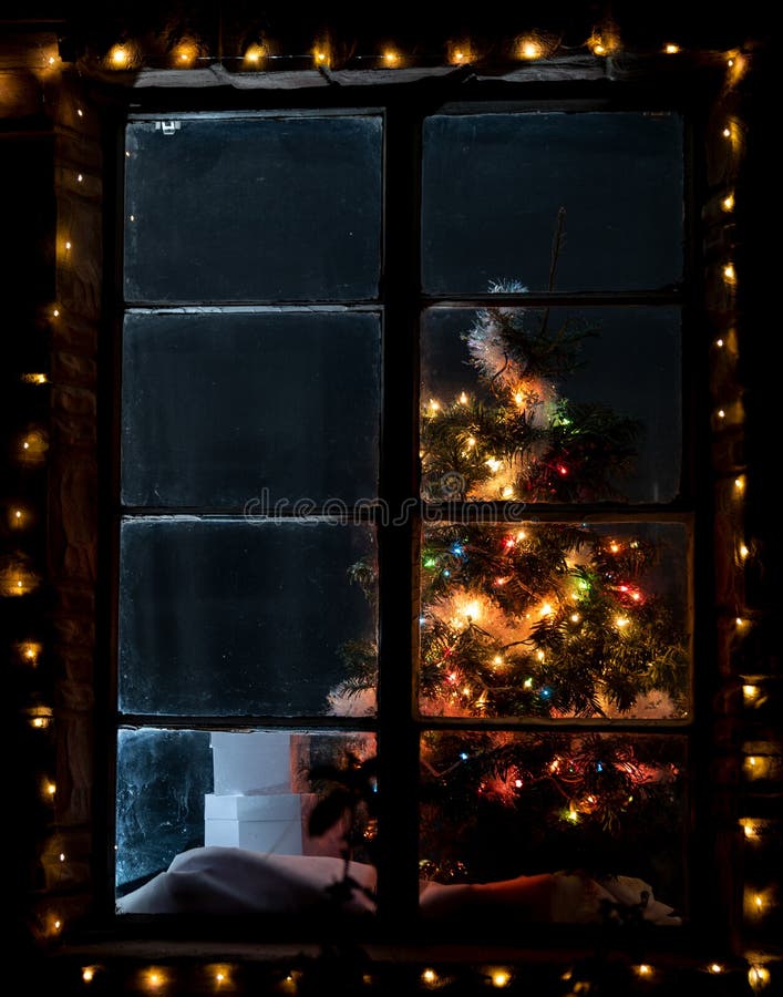 Looking Through Window At Christmas Trees