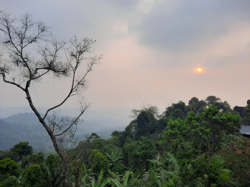 Nightfall stock image. Image of remains, instances, twilight - 262719065