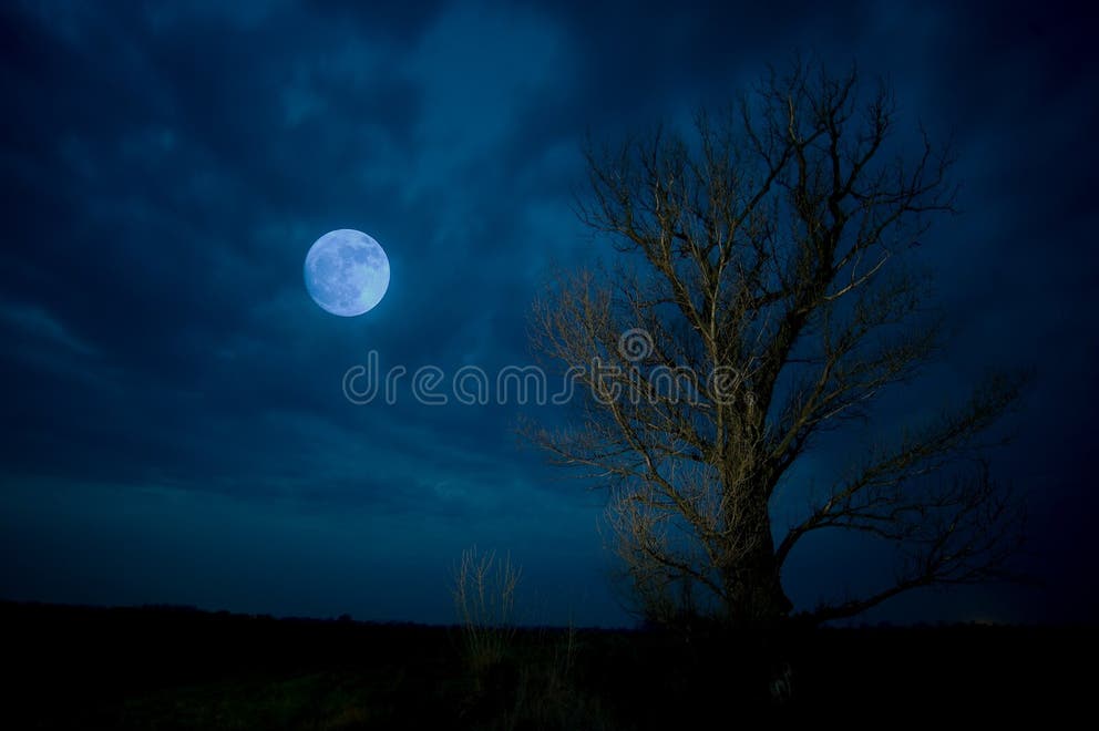 Nightfall and the moon stock photo. Image of nightfall - 178913610