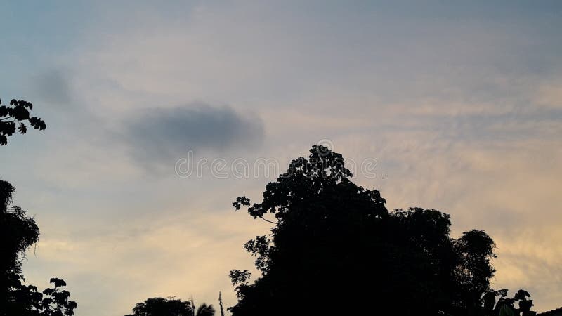 Nightfall. stock image. Image of anochecer, rboles, trees - 116595981