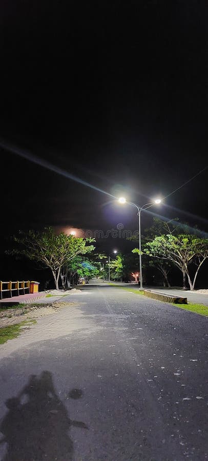 Nightime View at Taar Village Stock Image - Image of nightime, tree ...