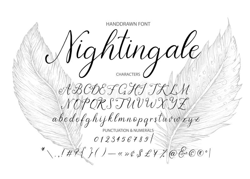 Nightingale. Handdrawn Calligraphic Vector Font Stock Vector ...