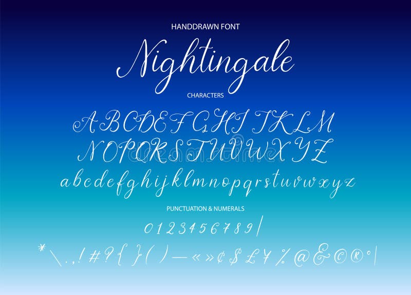 Nightingale. Handdrawn Calligraphic Vector Font Stock Vector ...