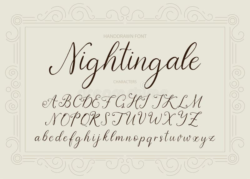 Nightingale. Handdrawn Calligraphic Vector Font Stock Vector ...