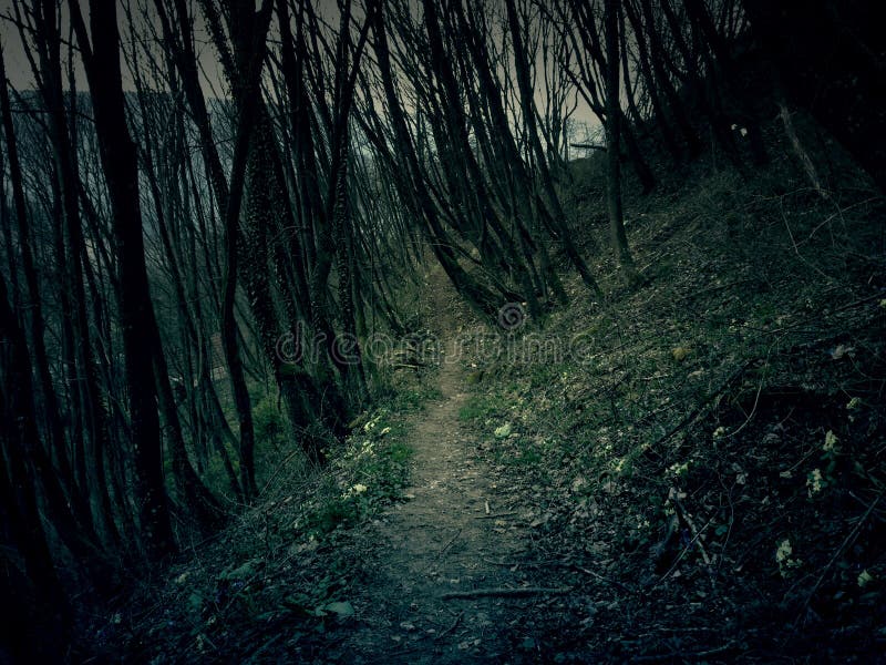 Nightmare stock image. Image of stained, retro, night - 7432555