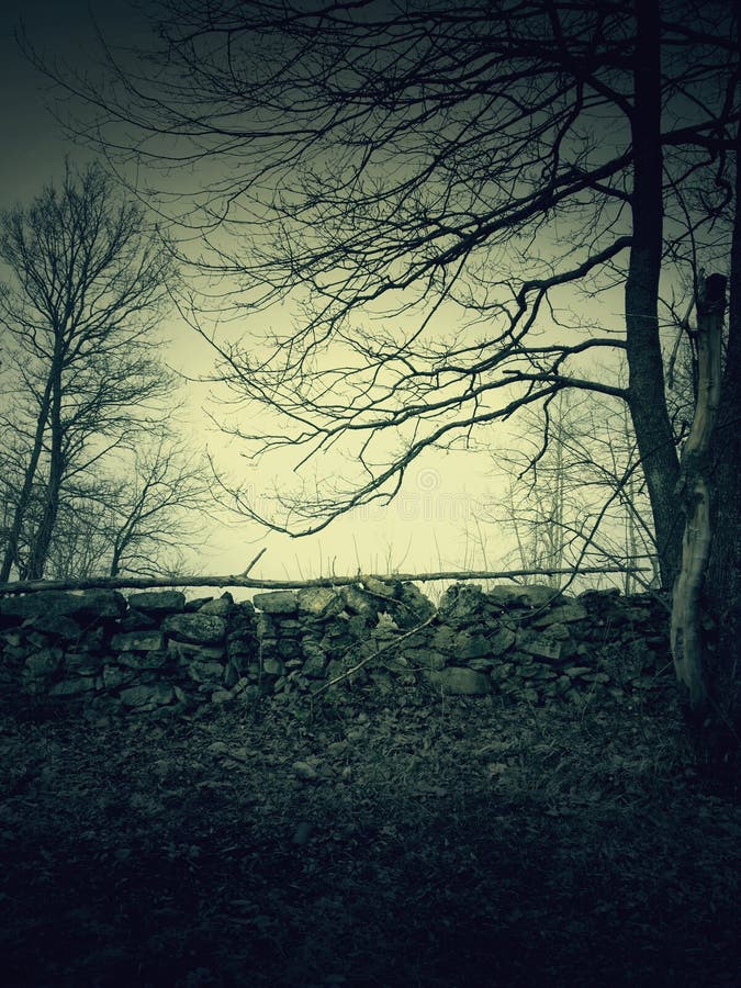 Nightmare landscape stock image. Image of imaginary, dream - 41693073