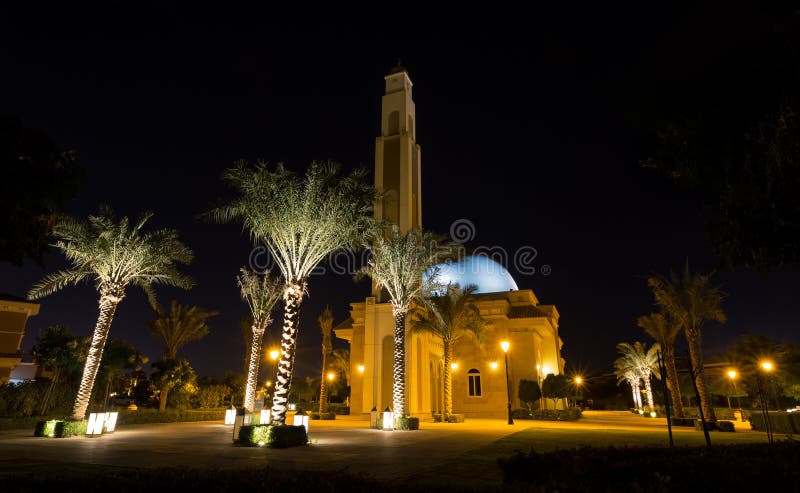 Nightscape of Building with Palm Trees and Lights Stock Image - Image ...