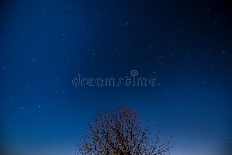Nightsky stock photo. Image of stars, nightsky, astrologic - 51502500