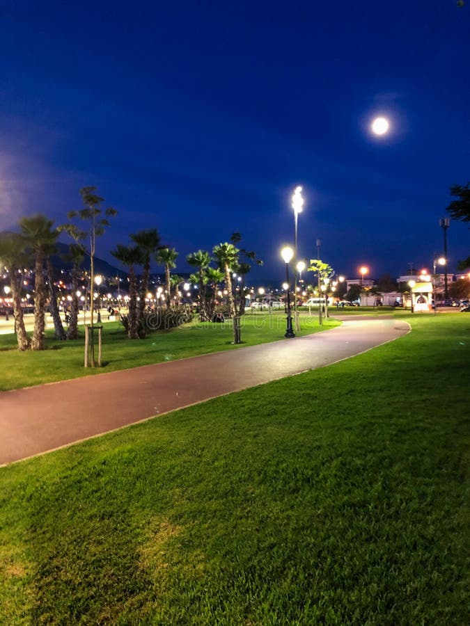 Nighttime Beauty in a Public Park - Grass and Light Showcased Stock ...