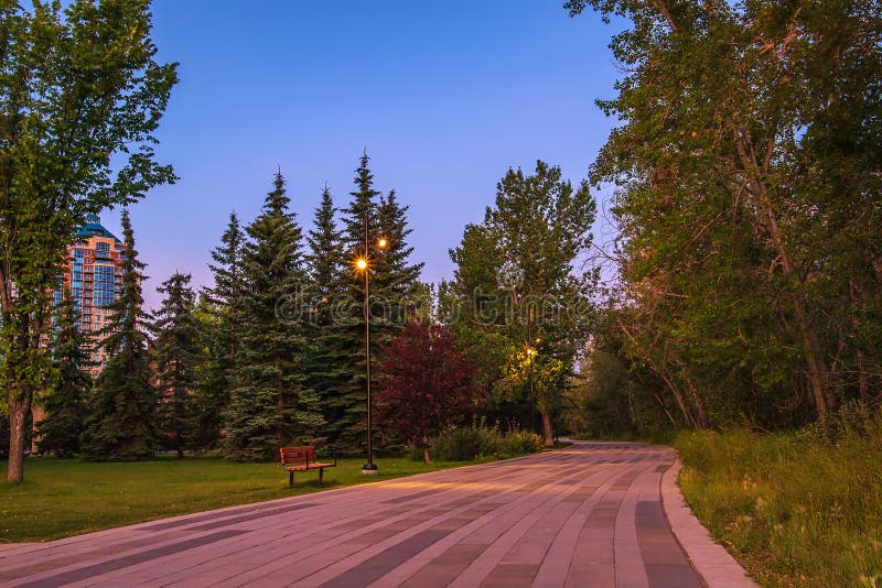Nighttime Calgary Park Walkway Stock Photo - Image of illuminated ...