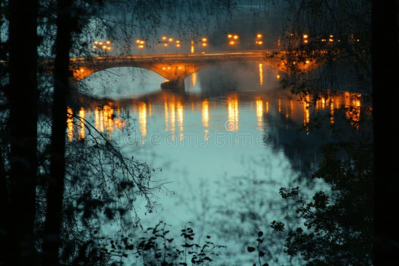 Nighttime River Scene with Trees and Bushes in the Foreground. Stock ...