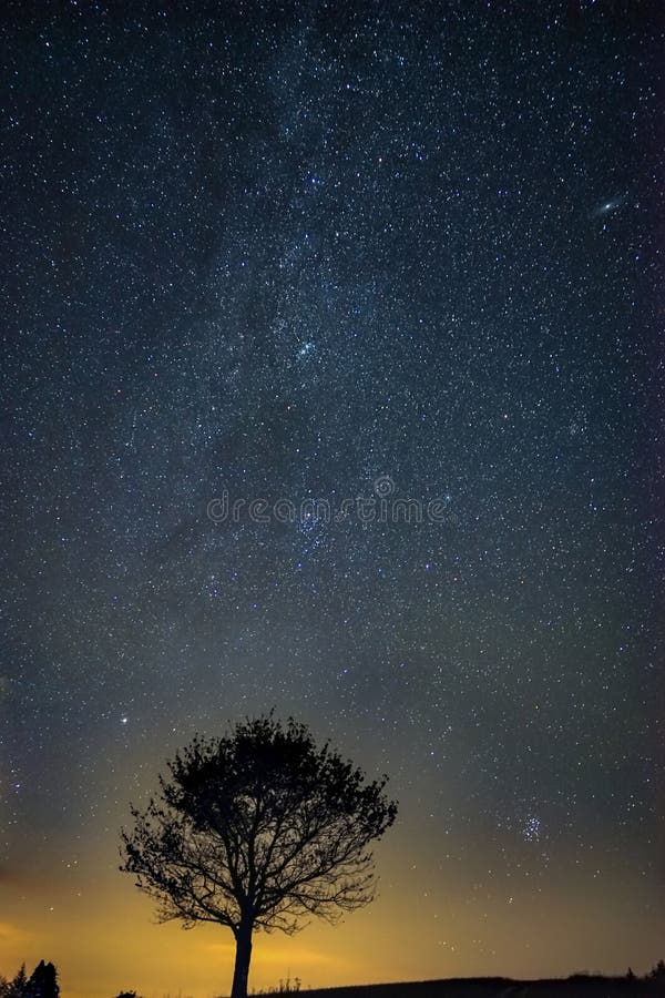 Nighttime Sky and Distant Trees in a Serene Scene Stock Photo - Image ...