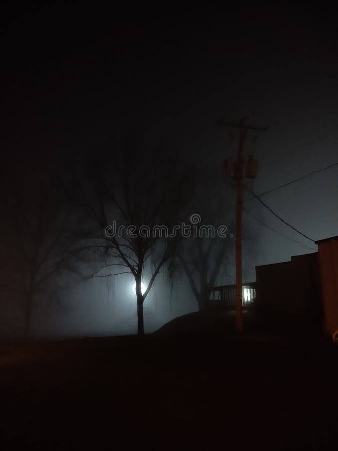 Nighttime Tree Shadow stock image. Image of shad, text - 250546055