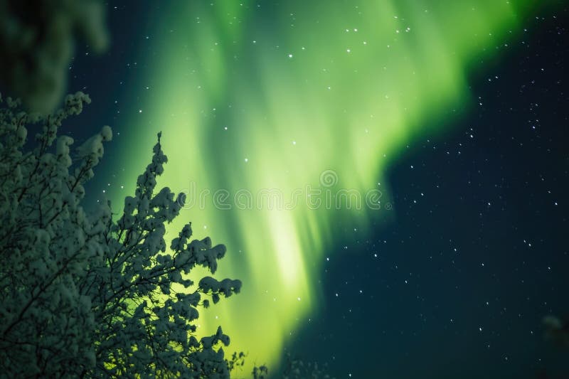 Nighttime View of the Northern Lights, a Natural Light Display in the ...