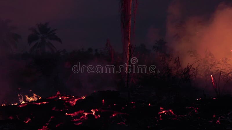 A Nighttime Wildfire Burning through Jungle, Causing Extensive ...