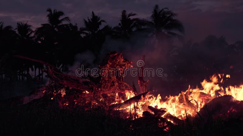 A Nighttime Wildfire Burning through Jungle, Causing Extensive ...